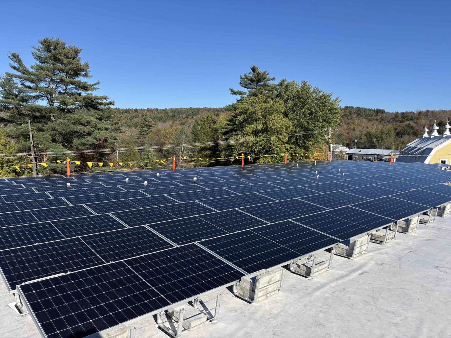 Customer Spotlight: The Center for an Agricultural Economy - Green ...